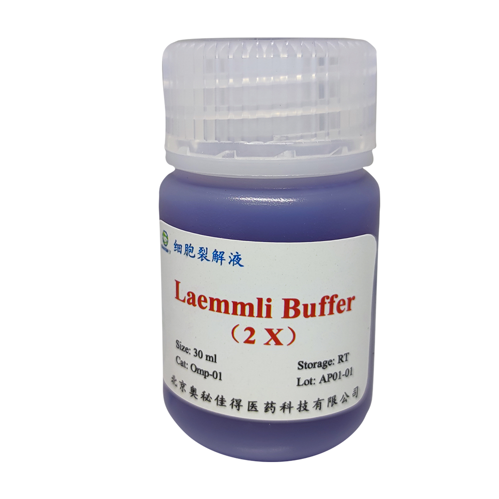 2x Laemmli Buffer ￥181.00-蛋白质研究试剂-北京奥秘佳得医药科技有限公司